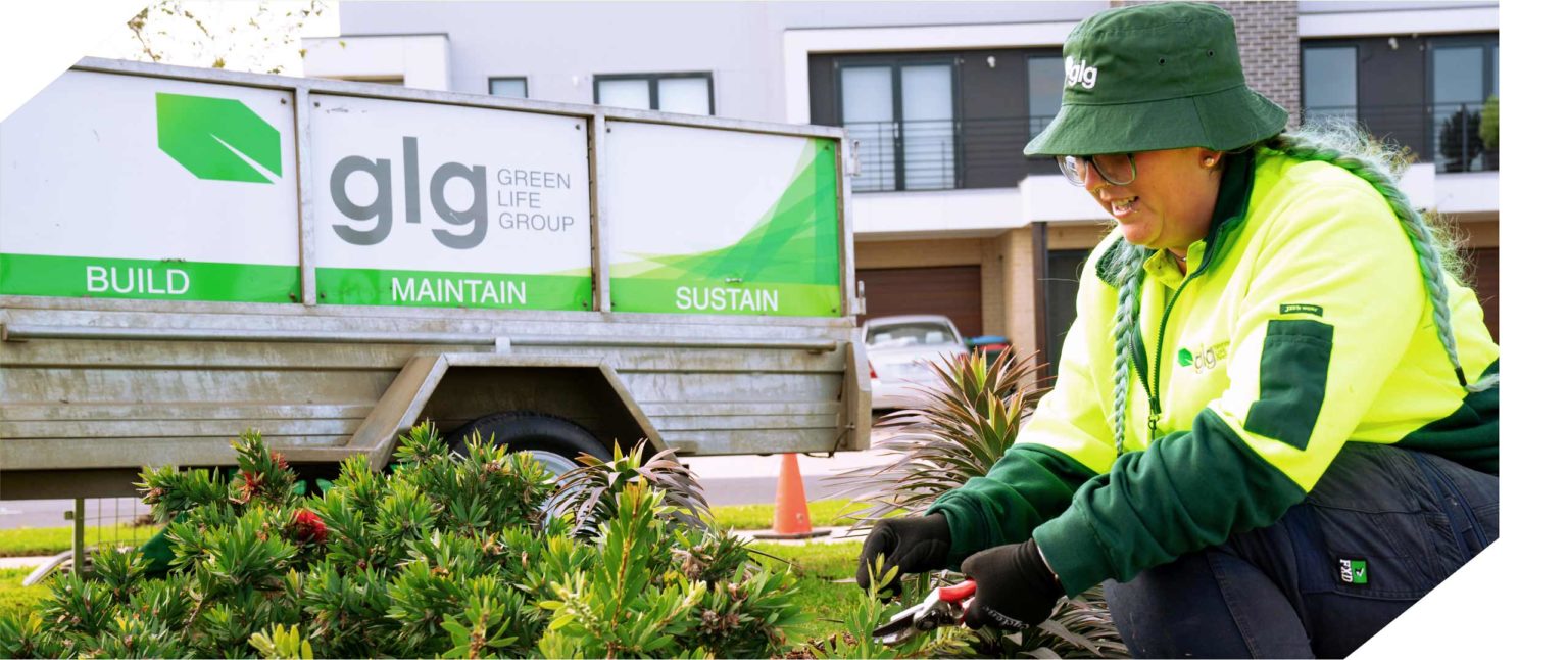 What we do - Service Offerings | Green Life Group